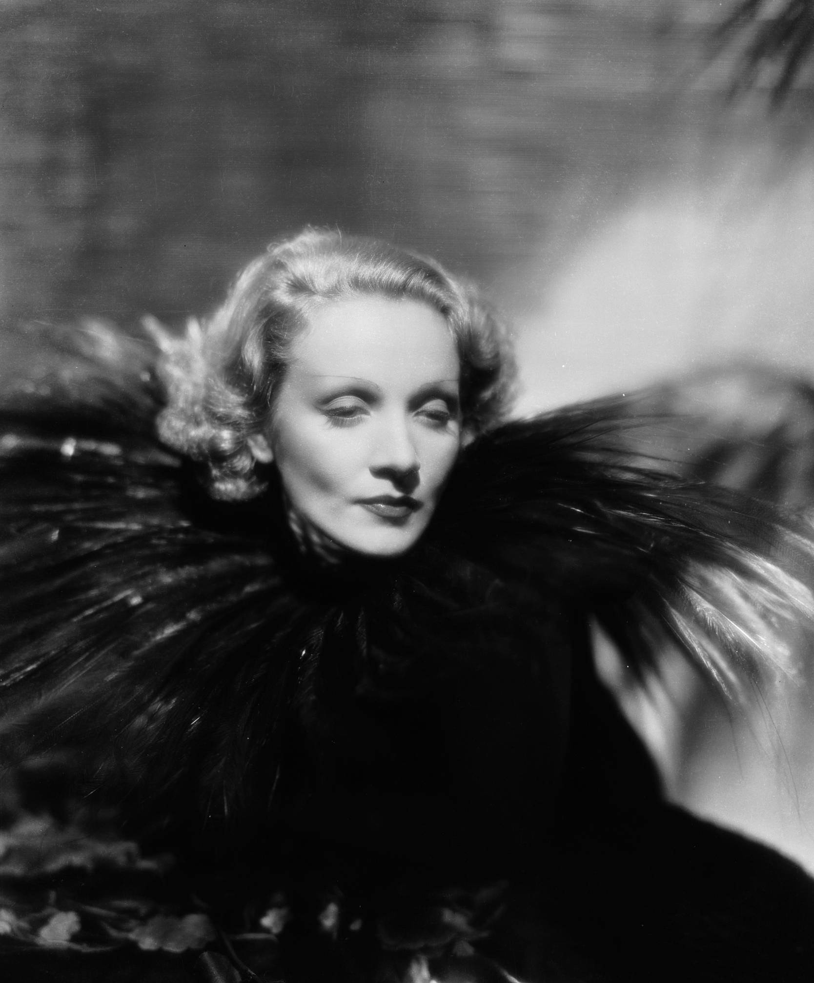 Marlene Dietrich Nrfpt